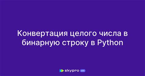 Конвертация целого числа в бинарную строку в Python