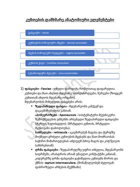 კუნთები კონსპექტი მთლიანიი Pdf