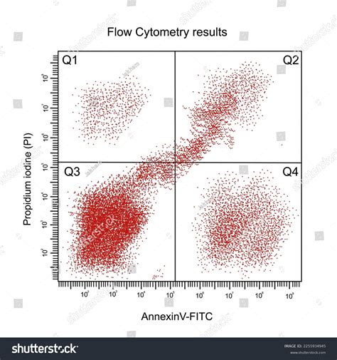 Flow Cytometry Results Apoptosis Cell Separation Stock Vector Royalty Free 2255934945