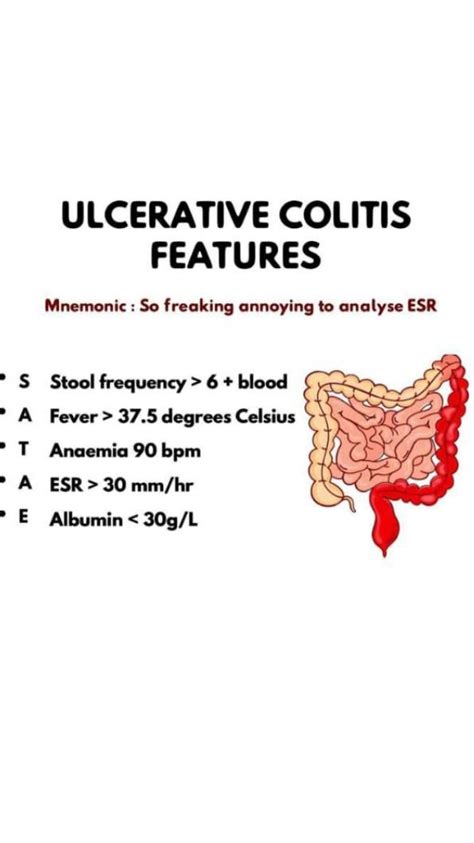 Ulcerative Colitis Symptoms Artofit
