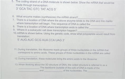 Solved The Coding Strand Of A DNA Molecule Is Shown Below Chegg