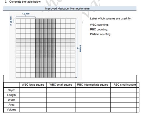 Manual Cells Counting With Hemocytometerimproved Neubauer 46 Off
