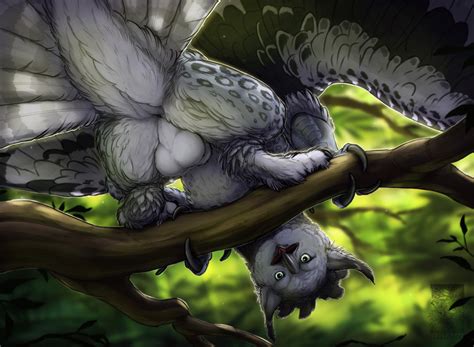 Rule 34 Animal Genitalia Anus Ass Avian Balls Beak Bird Black Beak