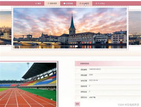 Vue Springboot基于java的招投标系统603gk Csdn博客