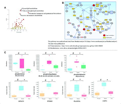 Integrated Analysis Of Transcriptomics And Metabolomics A The Download Scientific Diagram