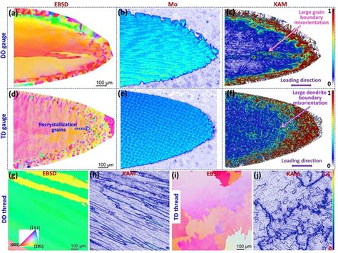 Ebsd Orientation And Kam Maps As Well As Eds Mo Maps Measured From The