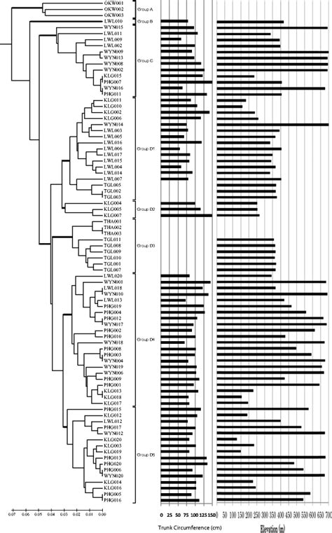 Dendrogram For Upgma Cluster Analysis Using Bruvo Distance In 83