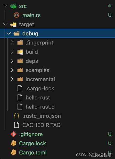 创建一个rust项目：构建安全高效的系统级应用rust 新建项目 Csdn博客
