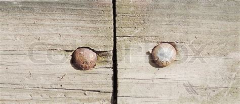 Rusty Nails On Old Wooden Texture Stock Image Colourbox