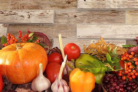 가을 배경과 계절 열매 호박 크랜베리 로완 토마토와 나무 배경에 자연 꽃과 마을에서 수확 복사 공간 평면 평신도 개념에 대한 스톡 사진 및 기타 이미지 Istock