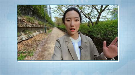 Hl만도 오피스 투어 브이로그 갓생사는 프로출근러의 하루 Hl Mando
