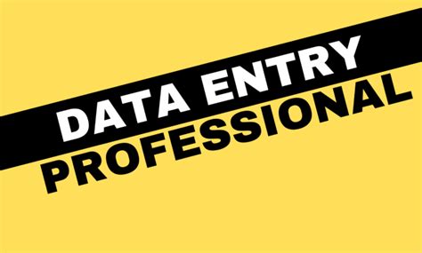 do data entry web research data formatting and cleaning copy paste