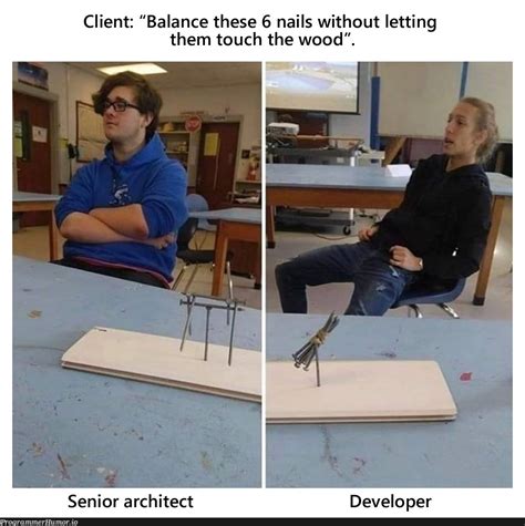 architect vs developer