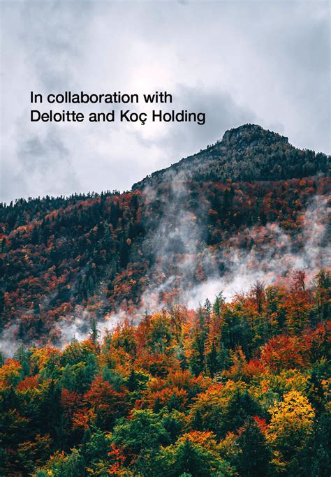 The Power Of Ai In Wildfire Prediction And Prevention World Economic Forum