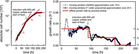 Growth Rate Calculation Based On Of Cell Numbers That Were Predicted Download Scientific