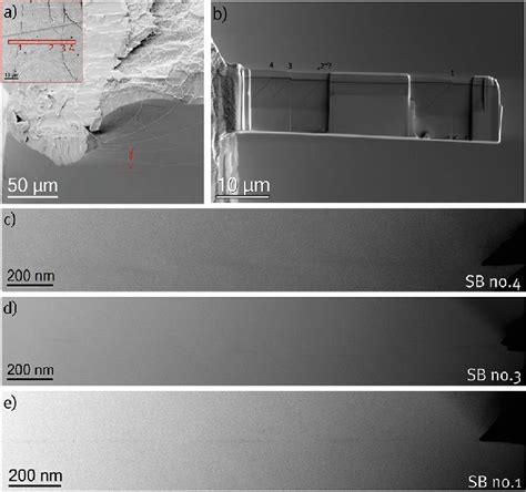A Sem Image Of The Fracture Area Of A Notched Fracture Experiment Download Scientific Diagram
