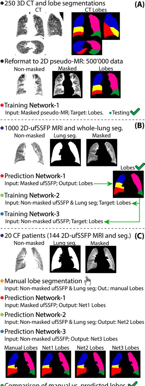 Mri Lung Lobe Segmentation In Pediatric Cystic Fibrosis Patients Using A Recurrent Neural