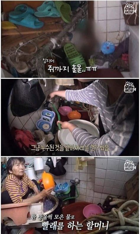 세상에 이런 일이에 나왔던 쓰레기집 근황 포텐 터짐 최신순 에펨코리아