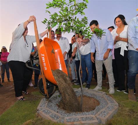 Sembrando Un árbol De Cotoprix El Gobierno Del Cesar Dio Inicio A La