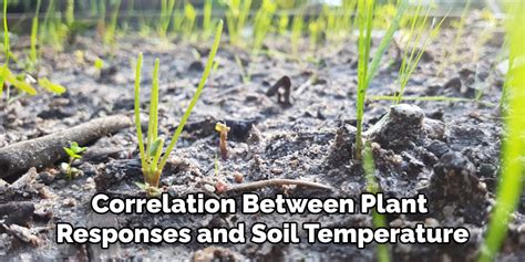 How To Determine Soil Temperature Without Thermometer 2025