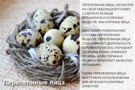 Яйцо перепелиное - калорийность, полезные свойства, польза и вред ...