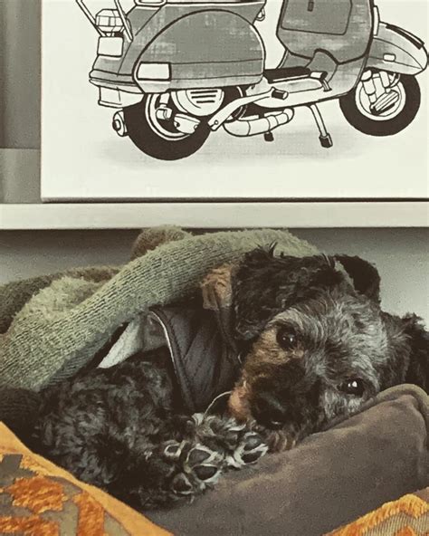 Slagle Design Blog Slagle Design