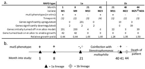 Characteristics Of Microarray Data A Table Of Characteristics Of The