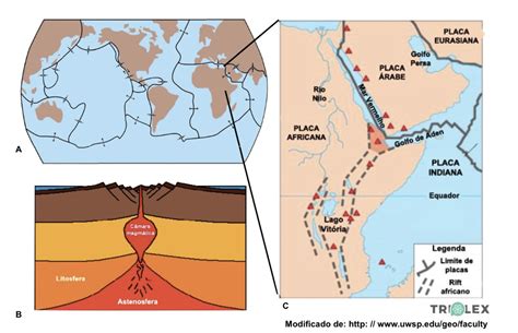 Testes Bg 11ºano Classion