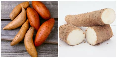 Difference Between Sweet Potato And Japanese Yam At Gabriella Raiwala Blog