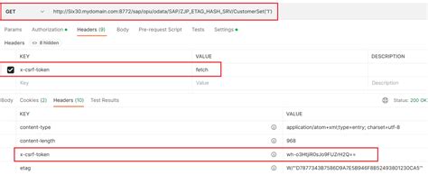 Building OData Services X CSRF Tokens Discovering ABAP