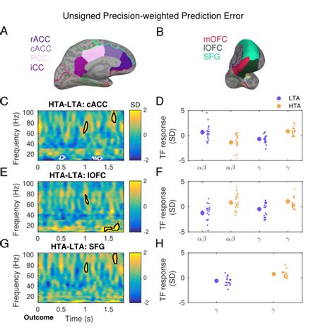 Hierarchical Gaussian Filter Winning Model And Results A