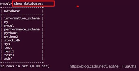 Linux终端查看mysql数据库，mysql数据库增删改查linux登录数据库修改表 Csdn博客