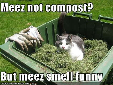 Composting The Quick And Dirty New Voices