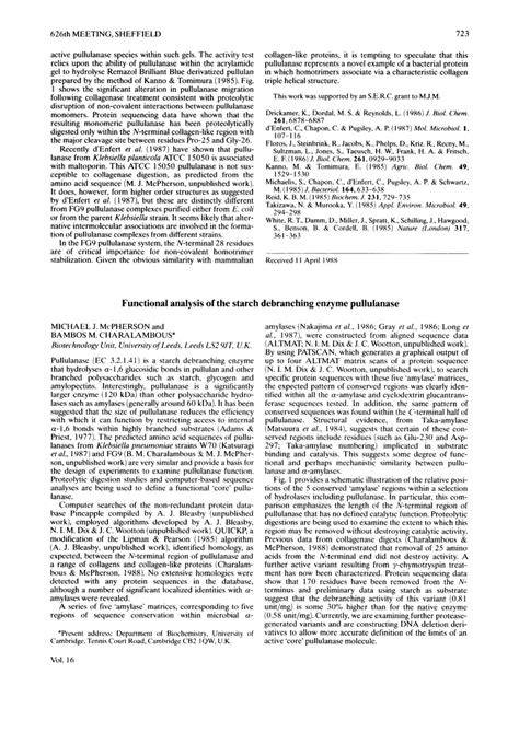 Pdf Functional Analysis Of The Starch Debranching Enzyme Pullulanase
