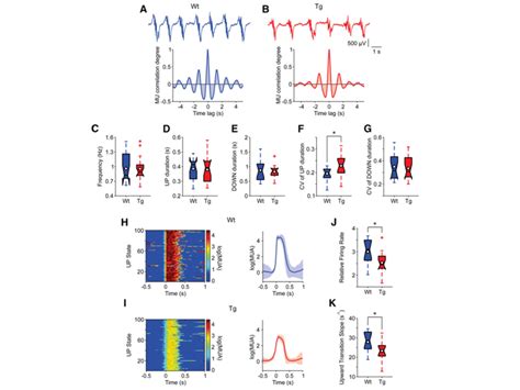 Quantification Of Slow Oscillatory Activity In The Pfc Of Anesthetized