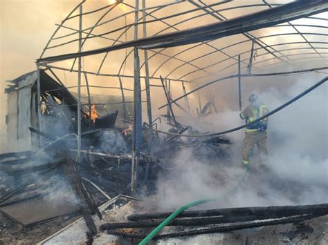 부산 강서구 비닐하우스 불인명피해 없어