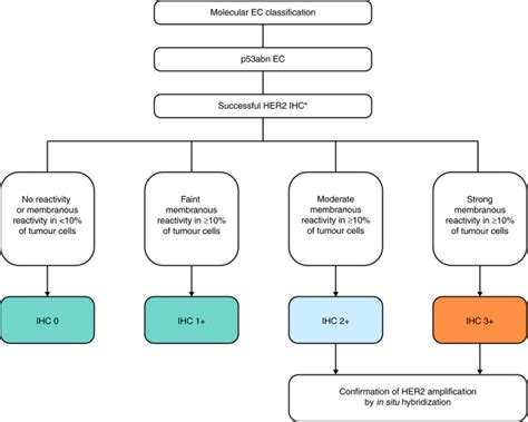Performance Of A Her2 Testing Algorithm Specific For P53 Abnormal