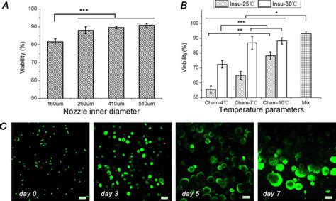 The Influence Of Bioprinting Parameters On Esc Viability Is Determined Download Scientific