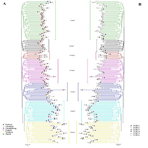 The Comparison Of Simulation Populations With Geographical Populations