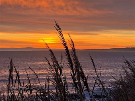 Anyway To Export In Full Hdr Riphone15pro