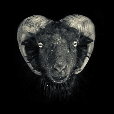 Scary Goat Eyes