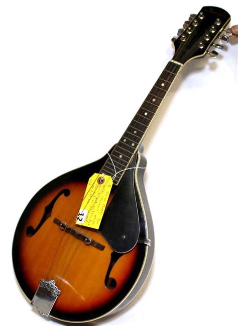 Mandolin Guitar