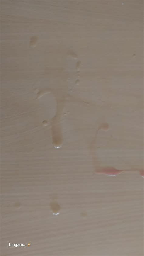 Yolo Floor Detection Object Detection Model By Yolo