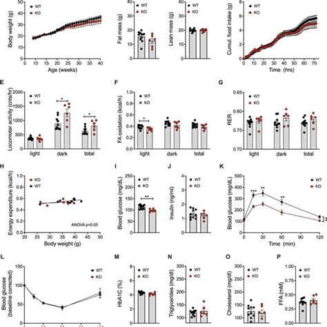 Sequence Of The Used Gip And Glp 1 Analogs Sequence Of The Used Download Scientific Diagram