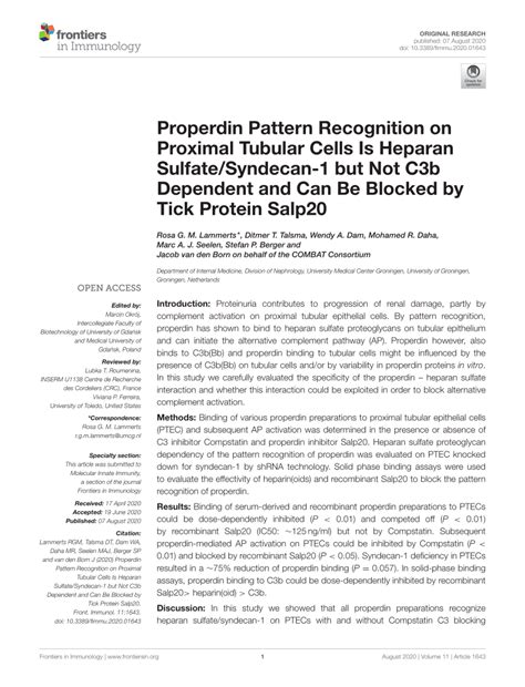 Pdf Properdin Pattern Recognition On Proximal Tubular Cells Is