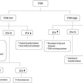 Laboratory Algorithm For Thyroid Tests Download Scientific Diagram