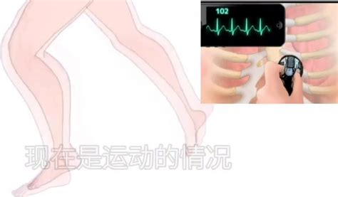 Anime Girls Heartbeat Anime Girls Heartbeat