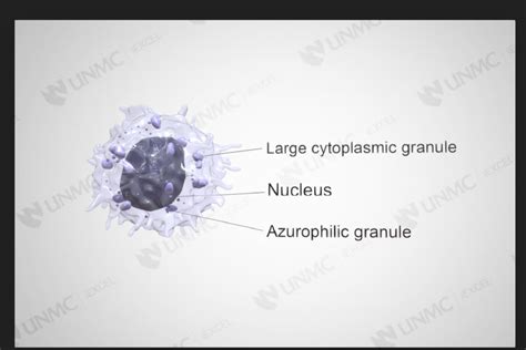 Terminal Definition Cell At Trevor Roy Blog