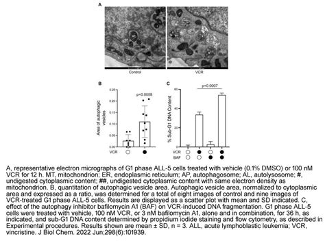 Bafilomycin A1 V Atpase Inhibitor Apexbio