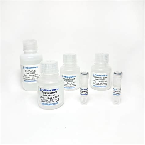 Brdu Cell Proliferation Colorimetric Assay Kit Bioquote